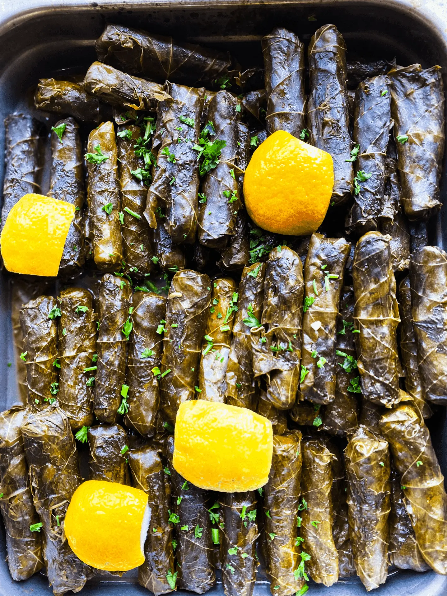 Poco Piatti | Toledo's spot for mediterranean tapas.